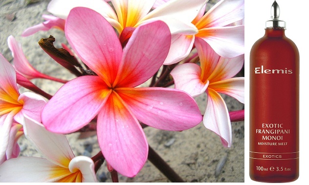 Rave: Elemis Exotic Frangipani Monoi Moisture Melt – MakeUp4All